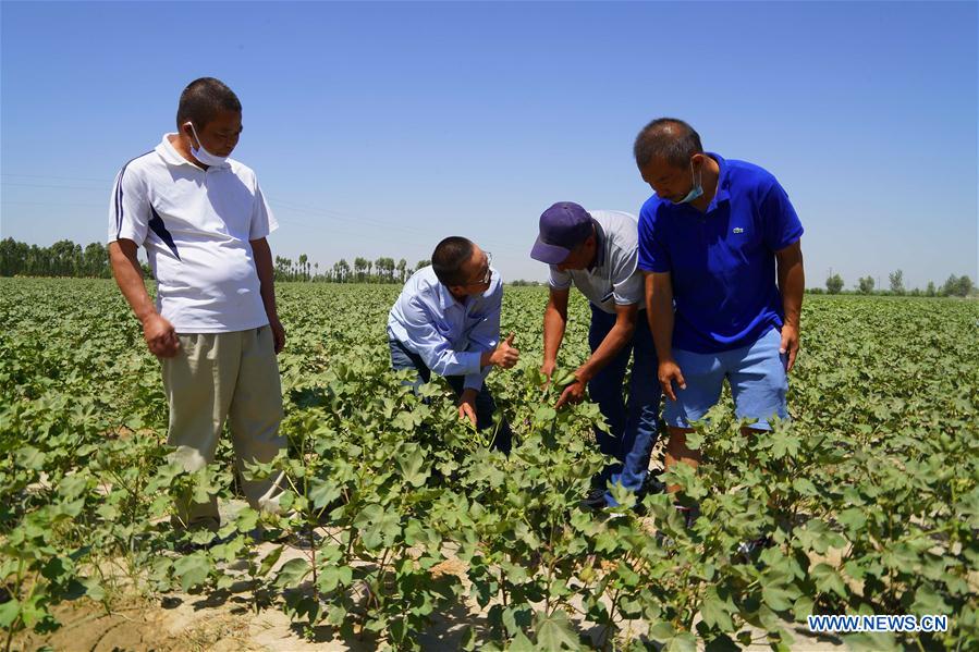 Feature: Chinese water-saving technology facilitates agricultural ...